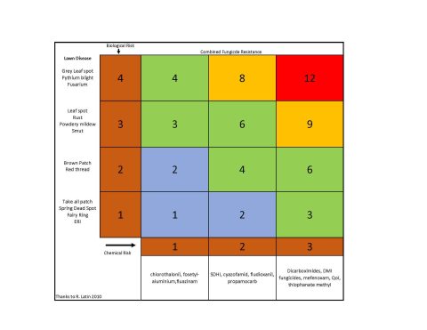 choosing-and-using-lawn-fungicides. 30 - GILBA SOLUTIONS