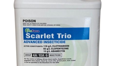 Scarlet Trio Advanced - GILBA SOLUTIONS
