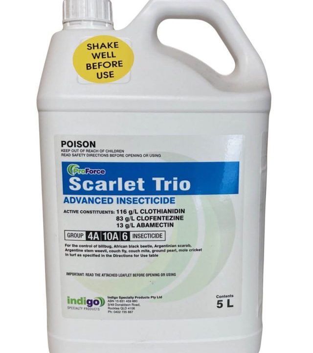 Ground pearl in turf. 33 - GILBA SOLUTIONS