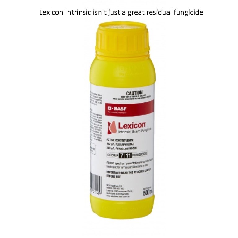 BASF Lexicon Fungicide 500ml - GILBA SOLUTIONS