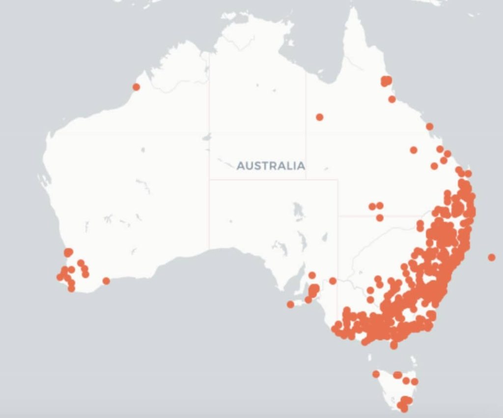 Bindi Weed Control Australia: Herbicides & Timing | Gilba Solutions