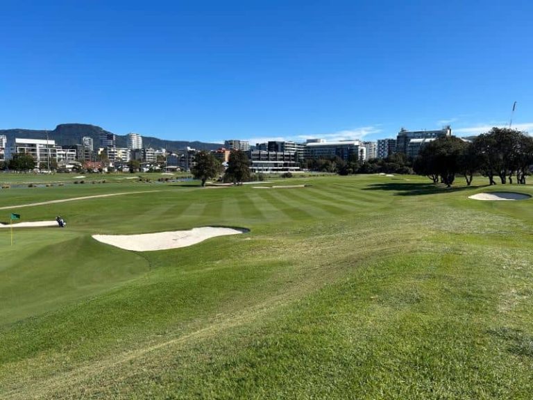 Turf pigment - GILBA SOLUTIONS