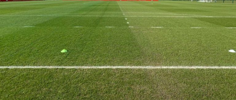 Turf pigment - GILBA SOLUTIONS