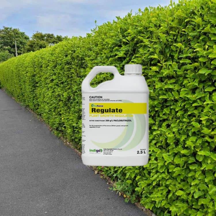 ProForce Regulate PGR - GILBA SOLUTIONS